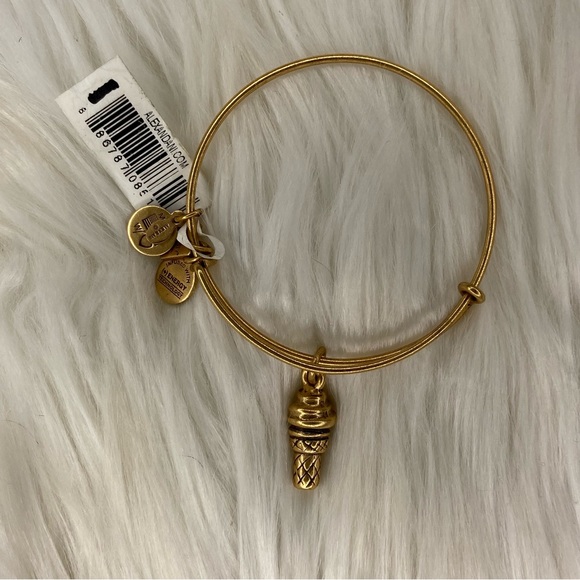 Alex and Ani | Jewelry | Alex And Ani Rafaelian Gold Ice Cream Cone Charm Bangle Bracelet | Poshmark